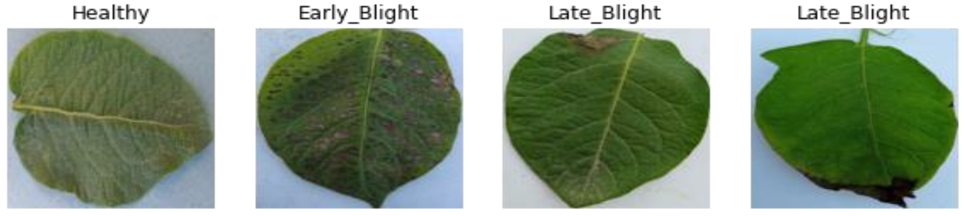 Sensors | Free Full-Text | EfficientRMT-Net—An Efficient ResNet-50 and Vision Transformers ...