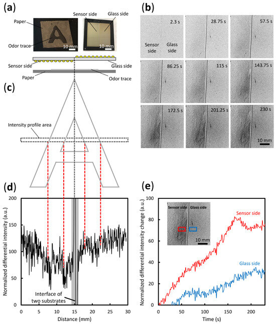 An Odor Trace Visualization System Using a Two-Dimensional Backside ...