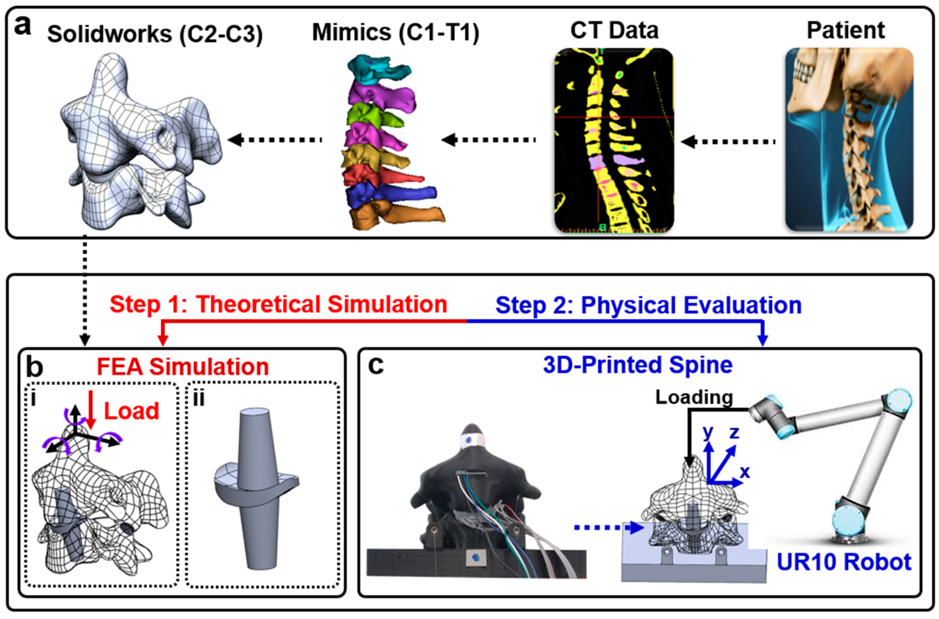 A New Method to Evaluate Pressure Distribution Using a 3D-Printed C2-C3 Cervical Spine Model ...