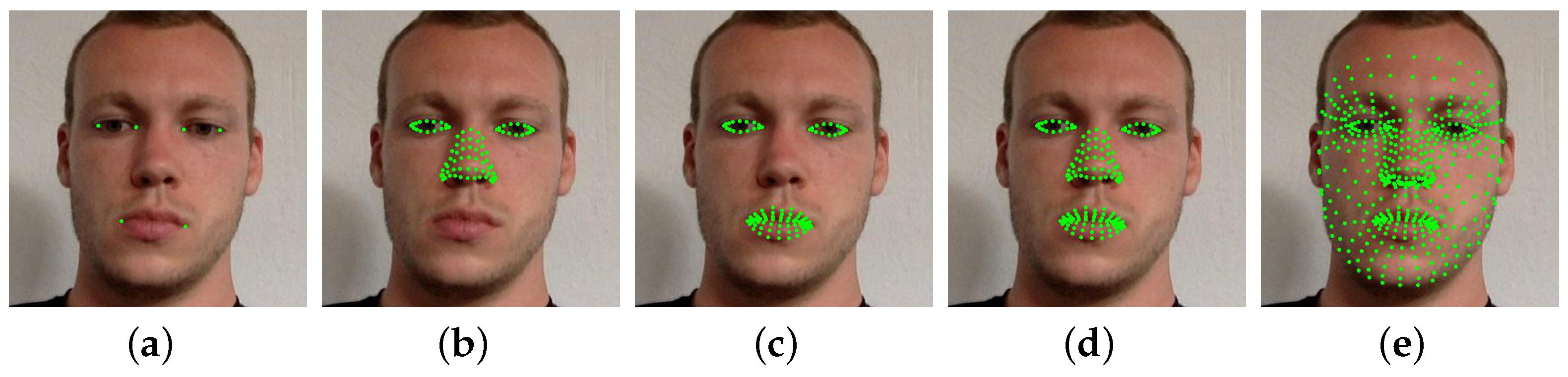 FreeGaze: A Framework for 3D Gaze Estimation Using Appearance Cues from ...