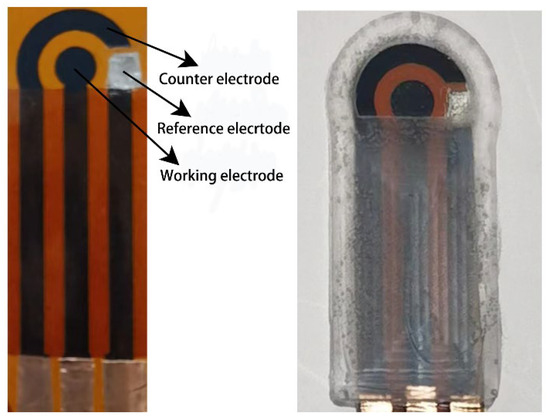 Sensors | Free Full-Text | A Laser-Induced Graphene-Based Sensor ...