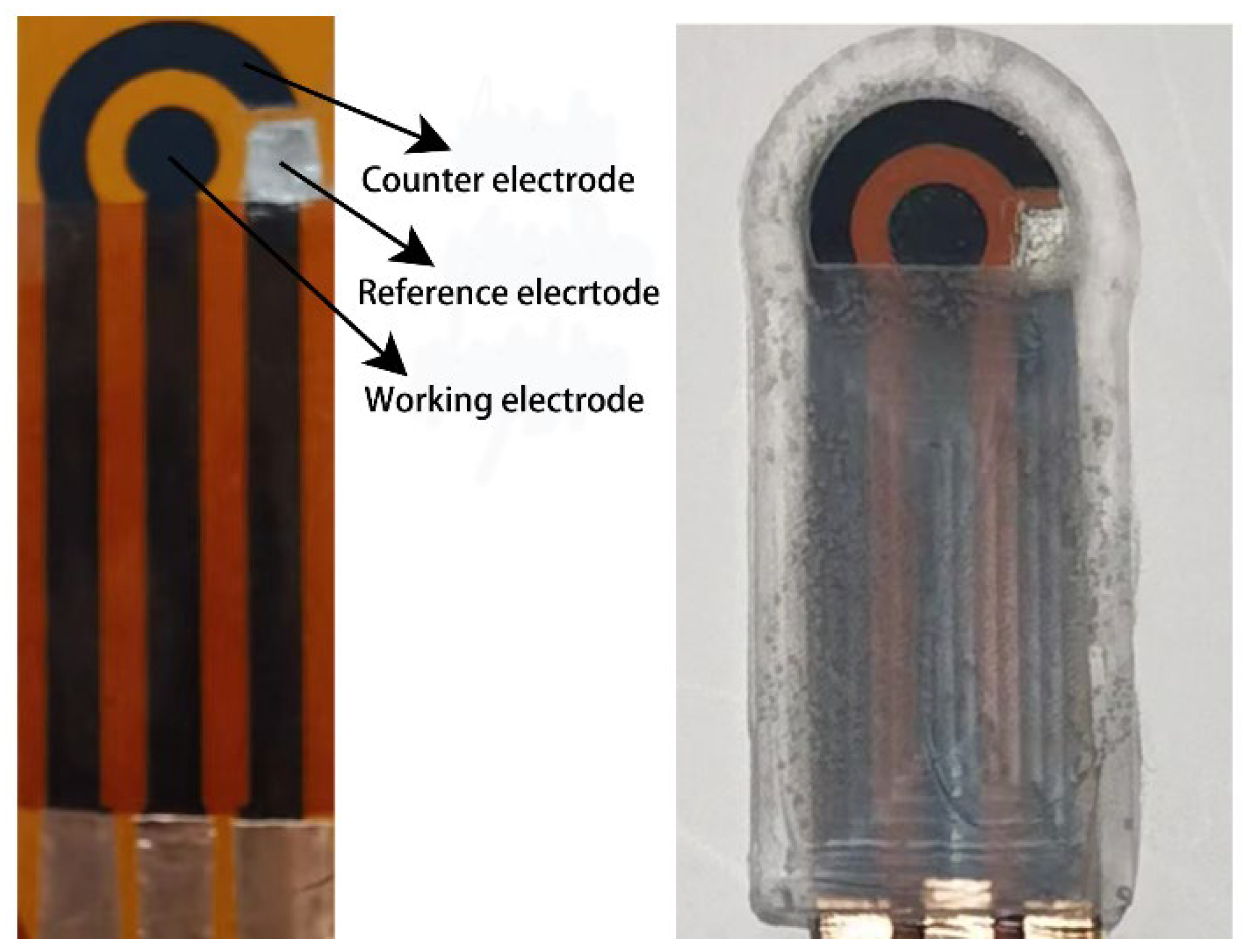 Sensors | Free Full-Text | A Laser-Induced Graphene-Based Sensor ...