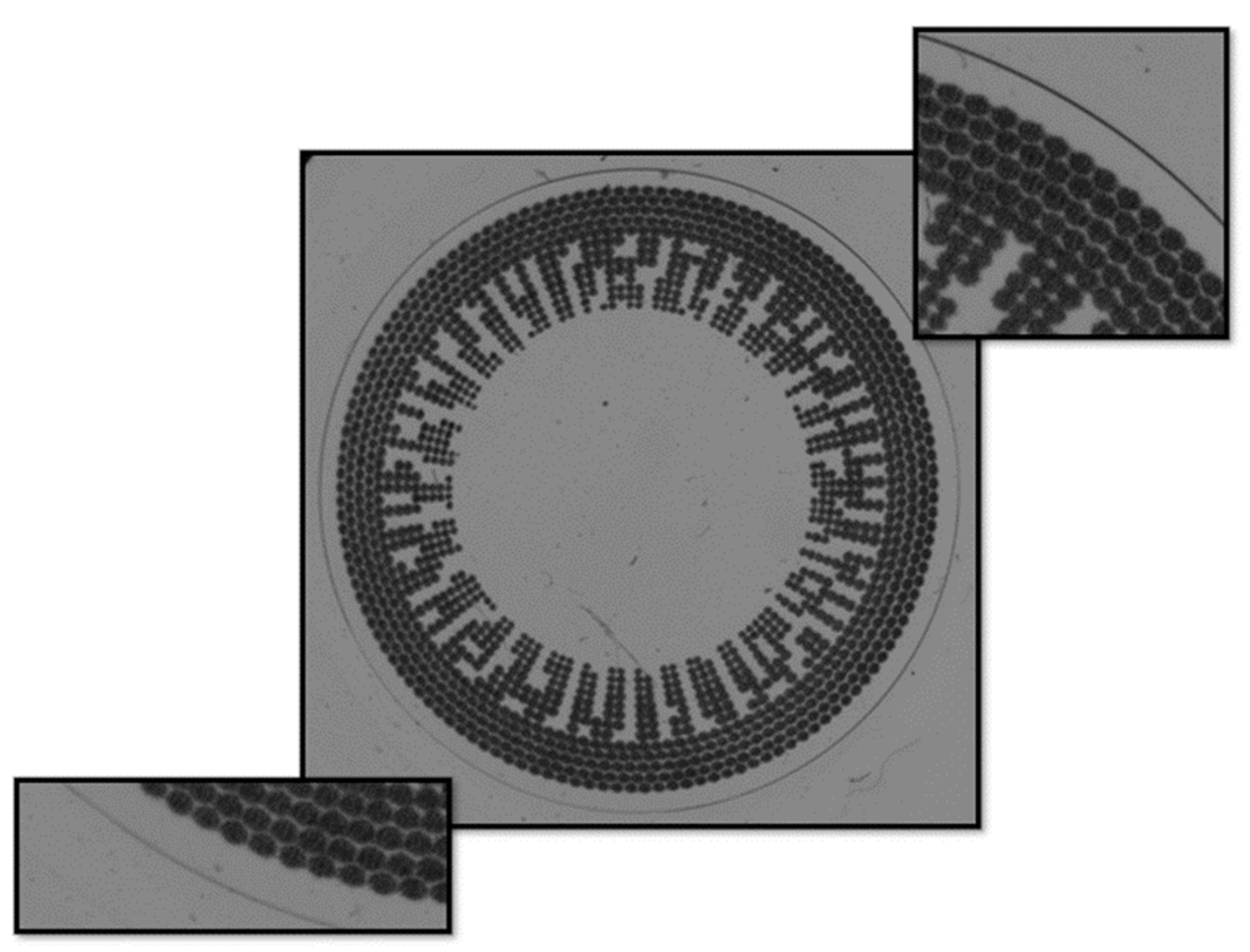 CLensRimVision: A Novel Computer Vision Algorithm for Detecting Rim ...