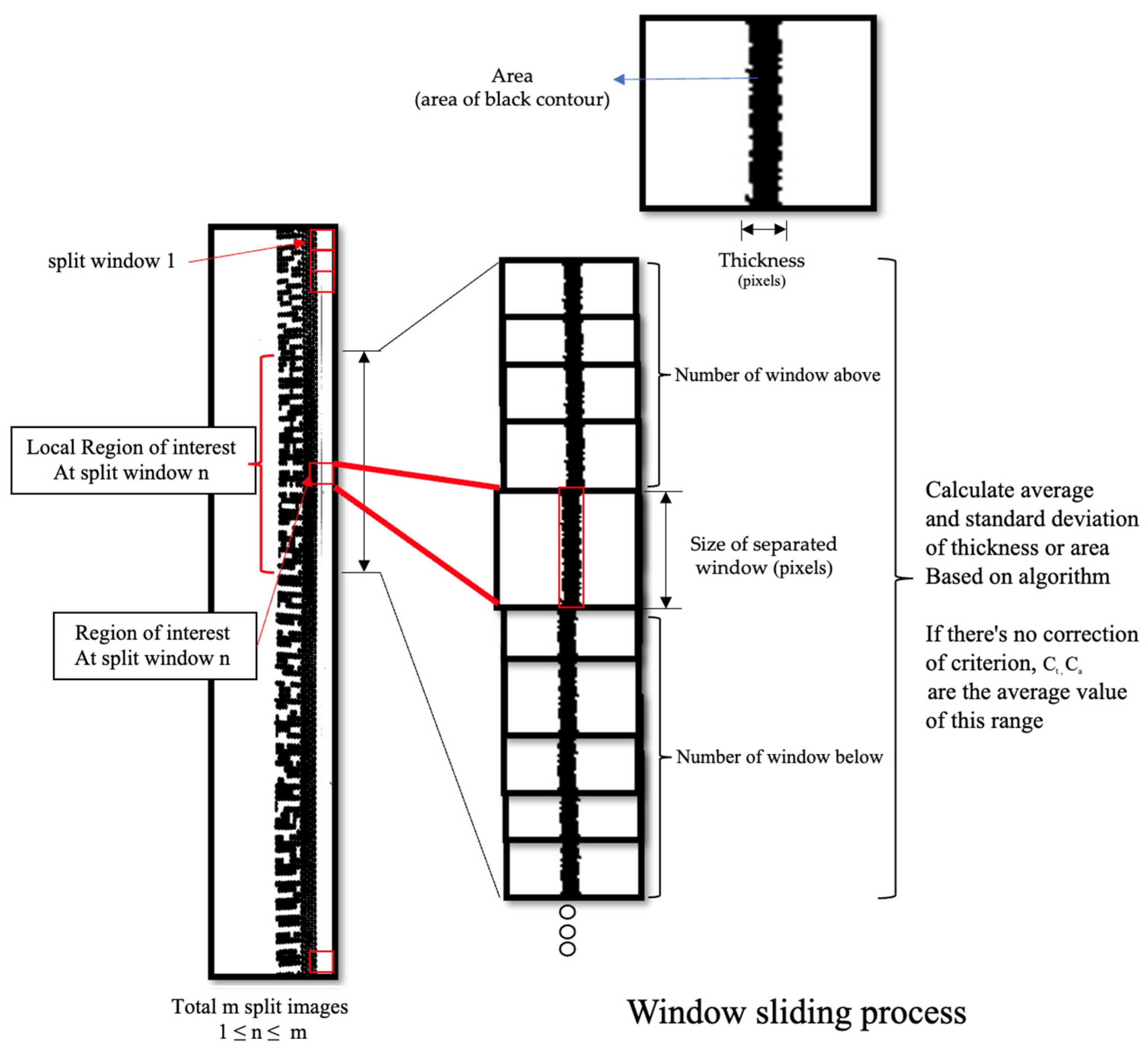 CLensRimVision: A Novel Computer Vision Algorithm for Detecting Rim ...
