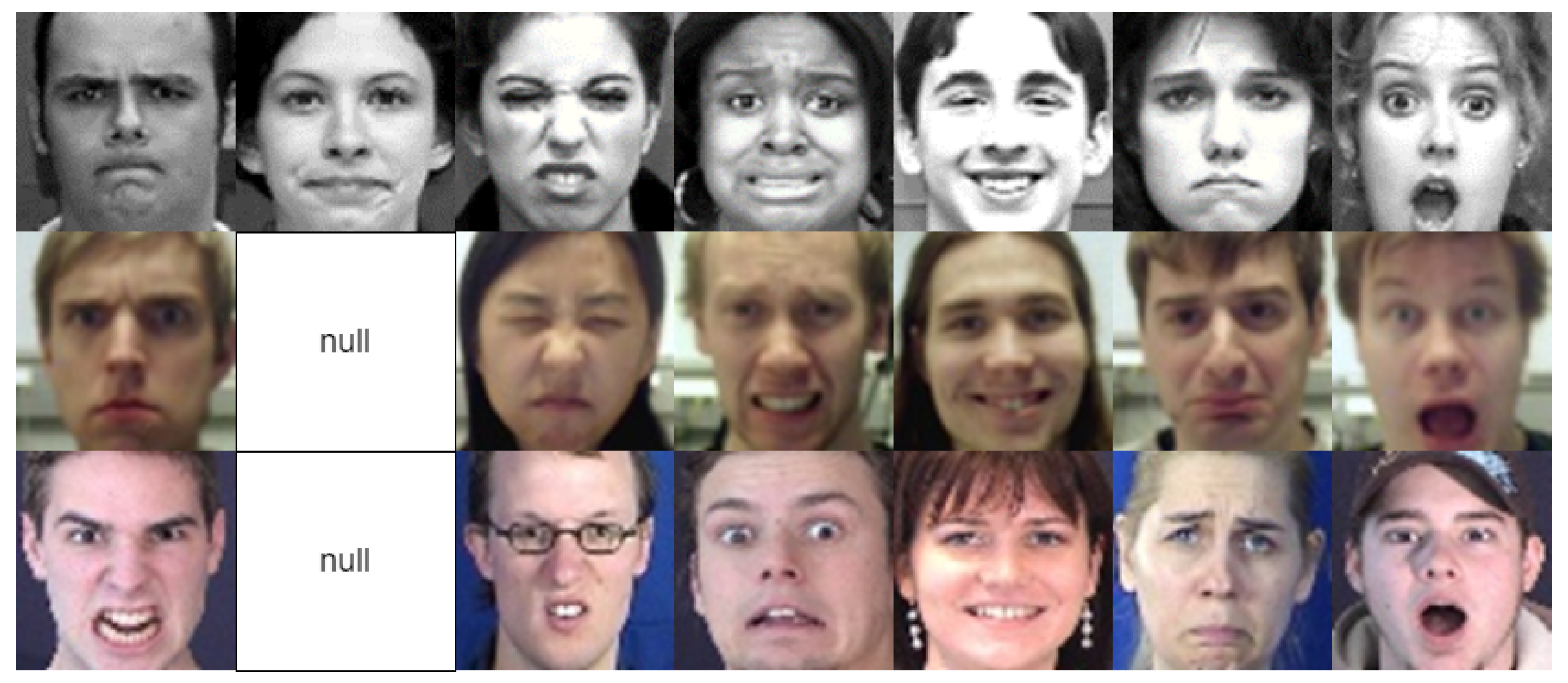 CNN-Based Facial Expression Recognition with Simultaneous Consideration of Inter-Class and Intra ...