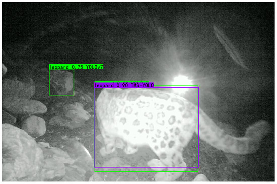 Intelligent Detection Method for Wildlife Based on Deep Learning