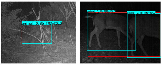 Intelligent Detection Method For Wildlife Based On Deep Learning