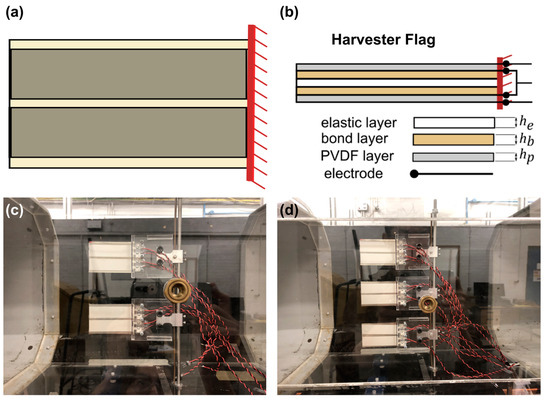 Wind Energy Harvesting with Vertically Aligned Piezoelectric Inverted Flags
