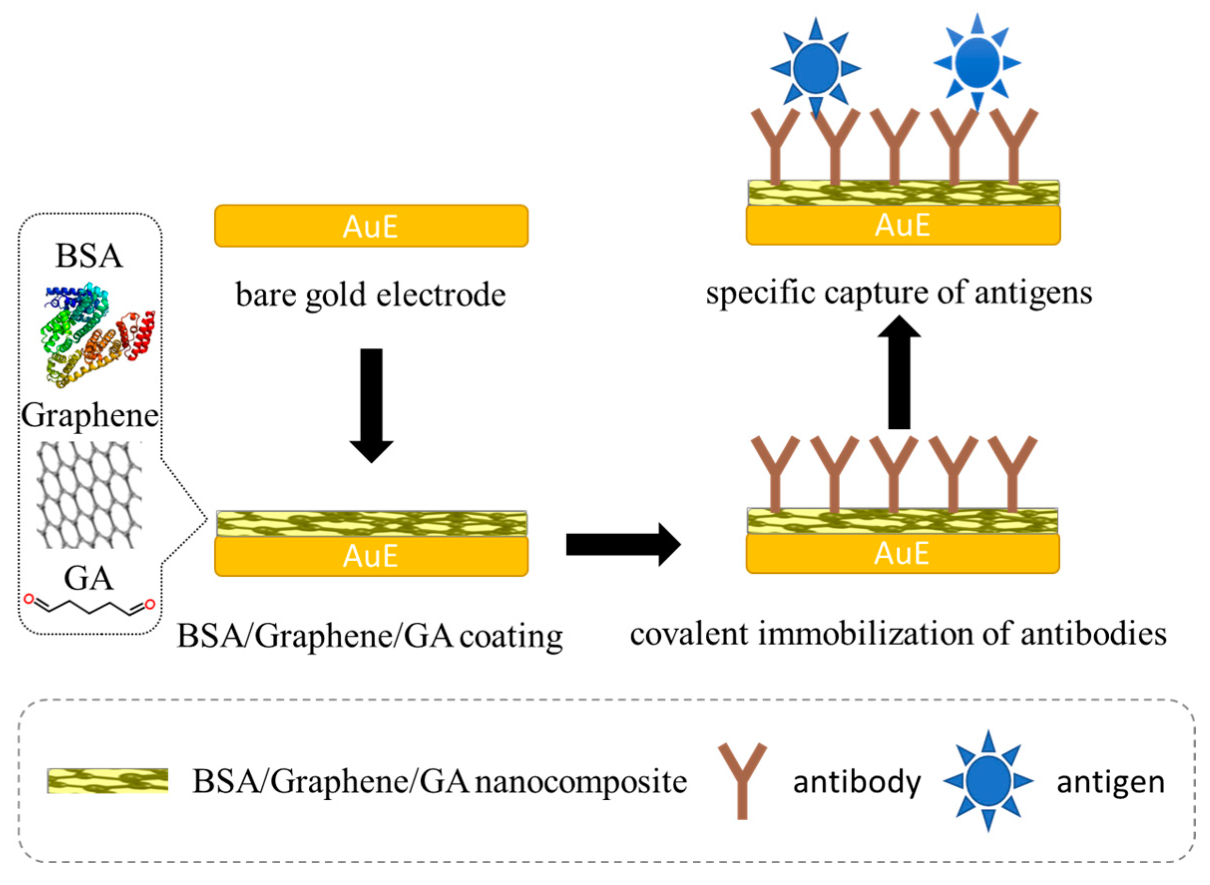Label-Free Detection of CA19-9 Using a BSA/Graphene-Based Antifouling ...
