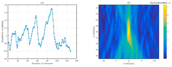Transcranial Ultrasonic Focusing by a Phased Array Based on Micro-CT Images