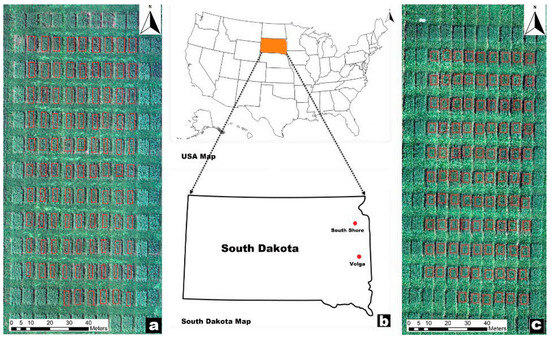 Utilizing Spectral, Structural and Textural Features for Estimating Oat ...