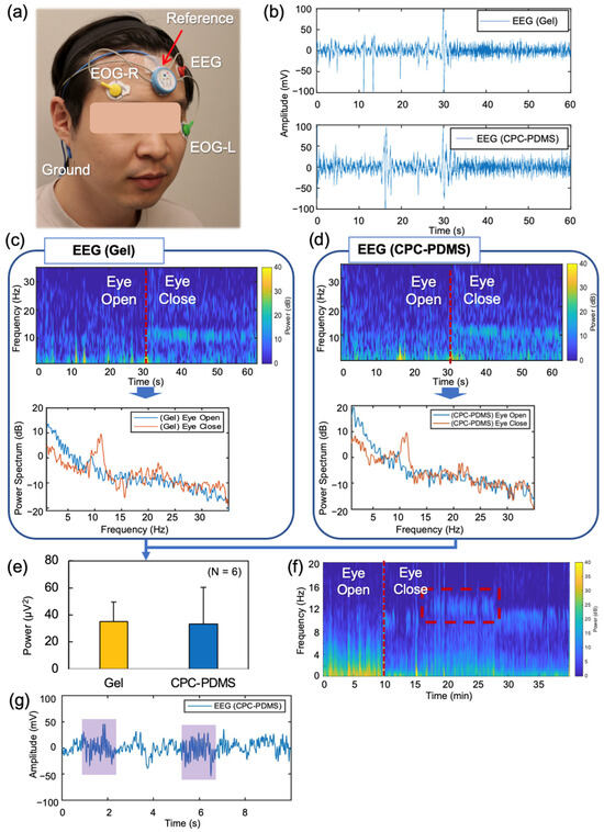 Continuous Biopotential Monitoring via Carbon Nanotubes Paper ...