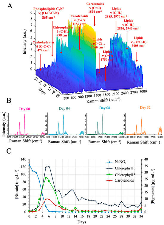 Sensors | Free Full-Text | Development and Application of an Automated ...