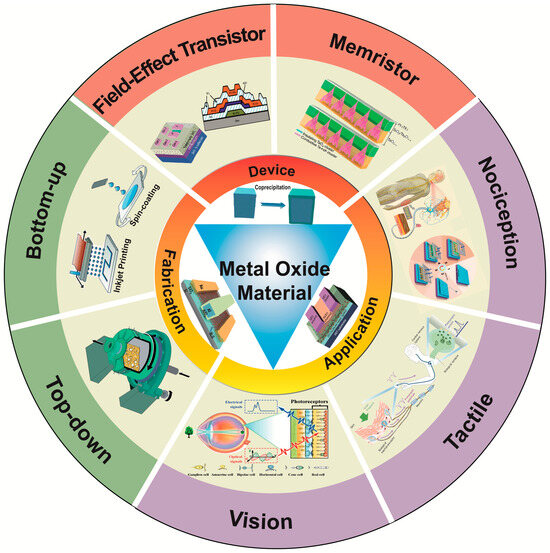 Metal-Oxide Heterojunction: From Material Process to Neuromorphic ...