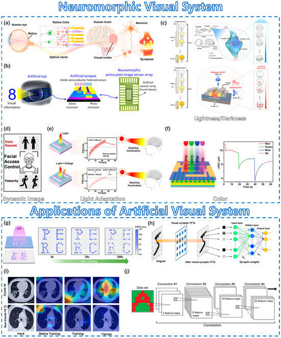Metal-Oxide Heterojunction: From Material Process to Neuromorphic ...