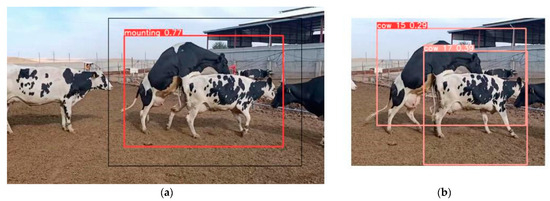Estrus Detection and Dairy Cow Identification with Cascade Deep Learning for Augmented Reality ...