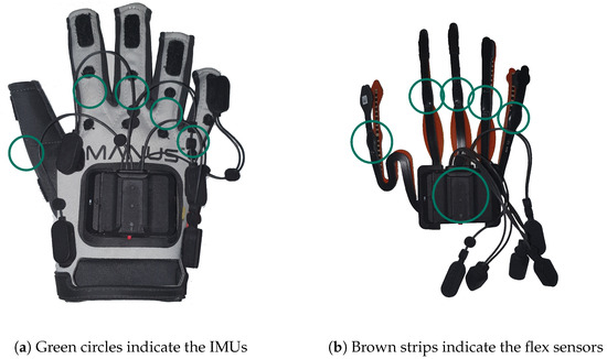 Give Me a Sign: Using Data Gloves for Static Hand-Shape Recognition