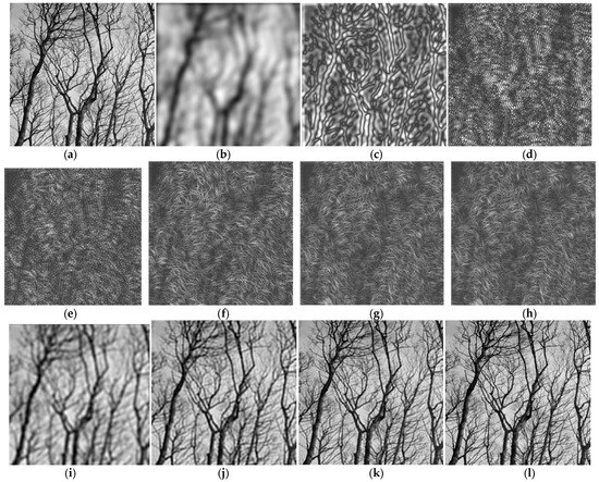 Analytic Design Technique for 2D FIR Circular Filter Banks and Their ...