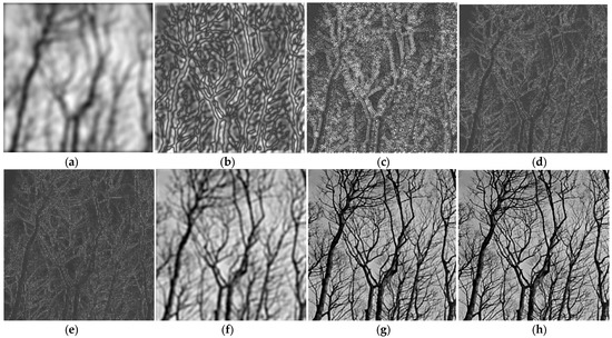 Analytic Design Technique for 2D FIR Circular Filter Banks and Their ...