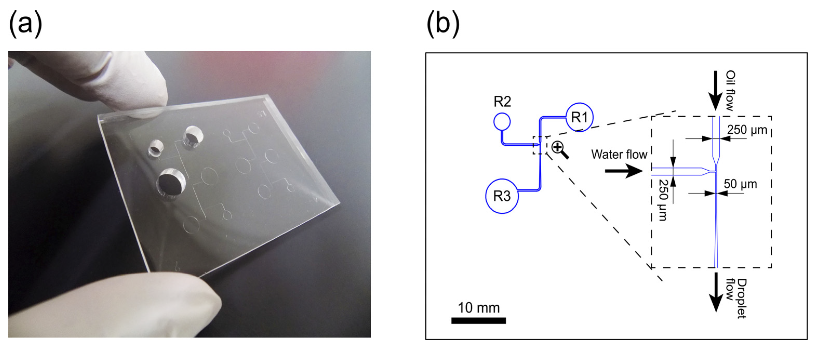 Fast Thermocycling in Custom Microfluidic Cartridge for Rapid Single ...