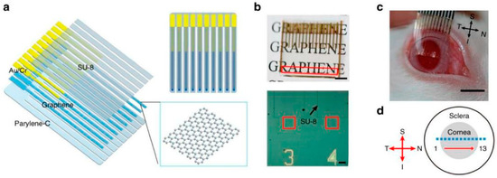 Sensors | Free Full-Text | Recent Advancements in Graphene-Based ...