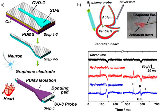 Recent Advancements in Graphene-Based Implantable Electrodes for Neural Recording/Stimulation
