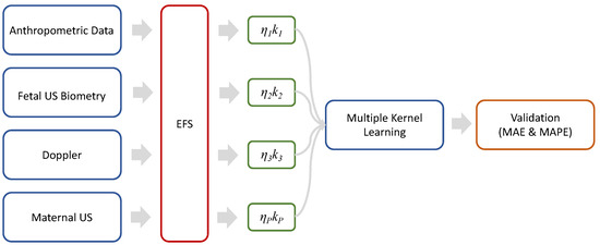 Multimodal Early Birth Weight Prediction Using Multiple Kernel Learning