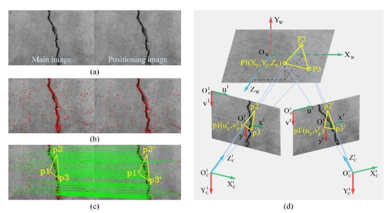 A Binocular Vision-Based Crack Detection and Measurement Method Incorporating Semantic Segmentation