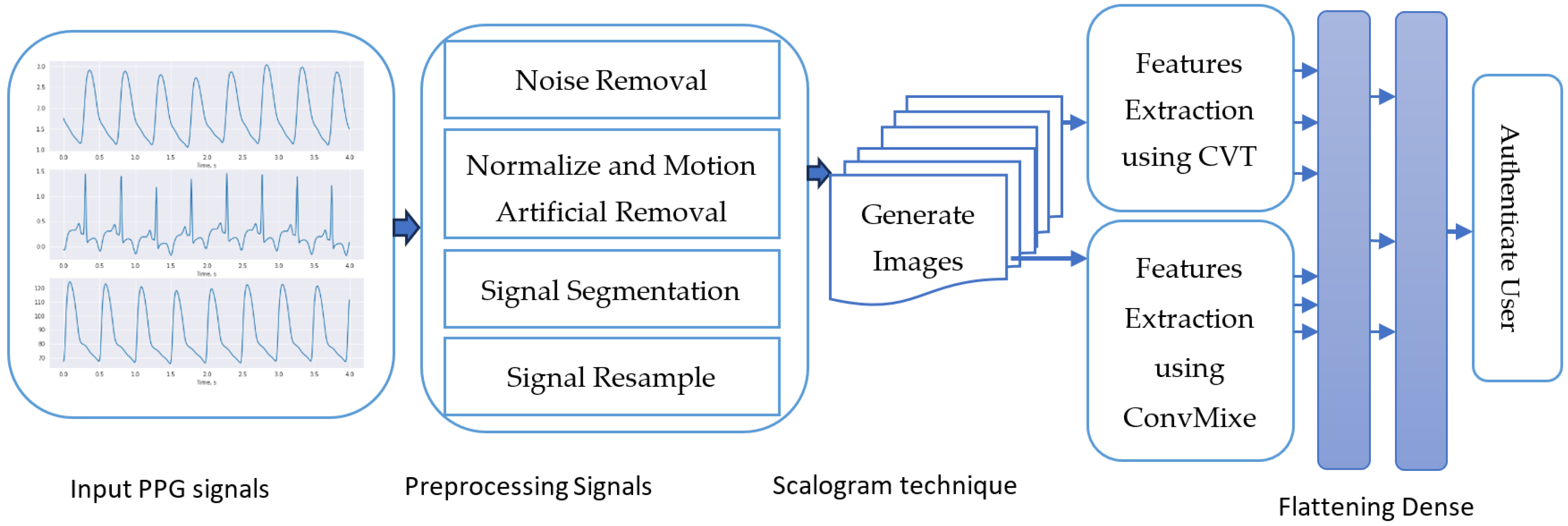 A Novel PPG-Based Biometric Authentication System Using a Hybrid CVT-ConvMixer Architecture with ...