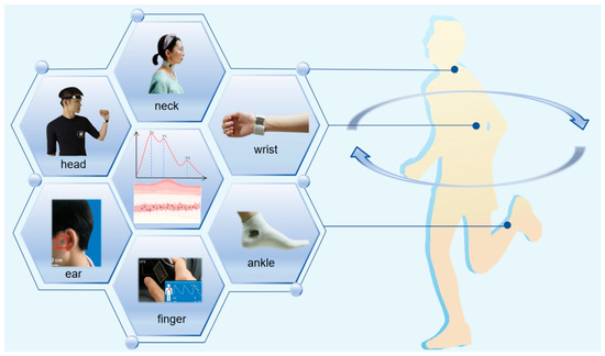 Sensors | Free Full-Text | Recent Progress of Wearable Triboelectric ...