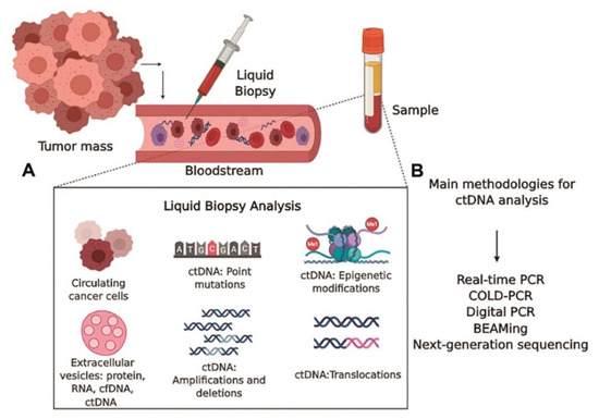 Sensors | Free Full-Text | Biomarkers in Cancer Detection, Diagnosis, and Prognosis