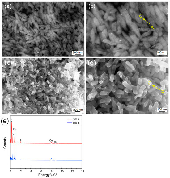 Influence of Different Pt Functionalization Modes on the Properties of ...