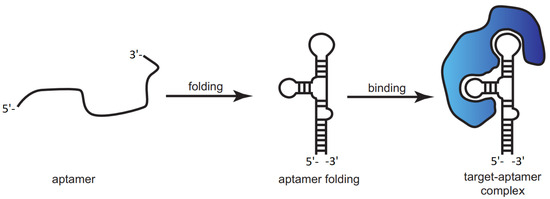 Sensors | Free Full-Text | An Overview on Recent Advances in Biomimetic ...