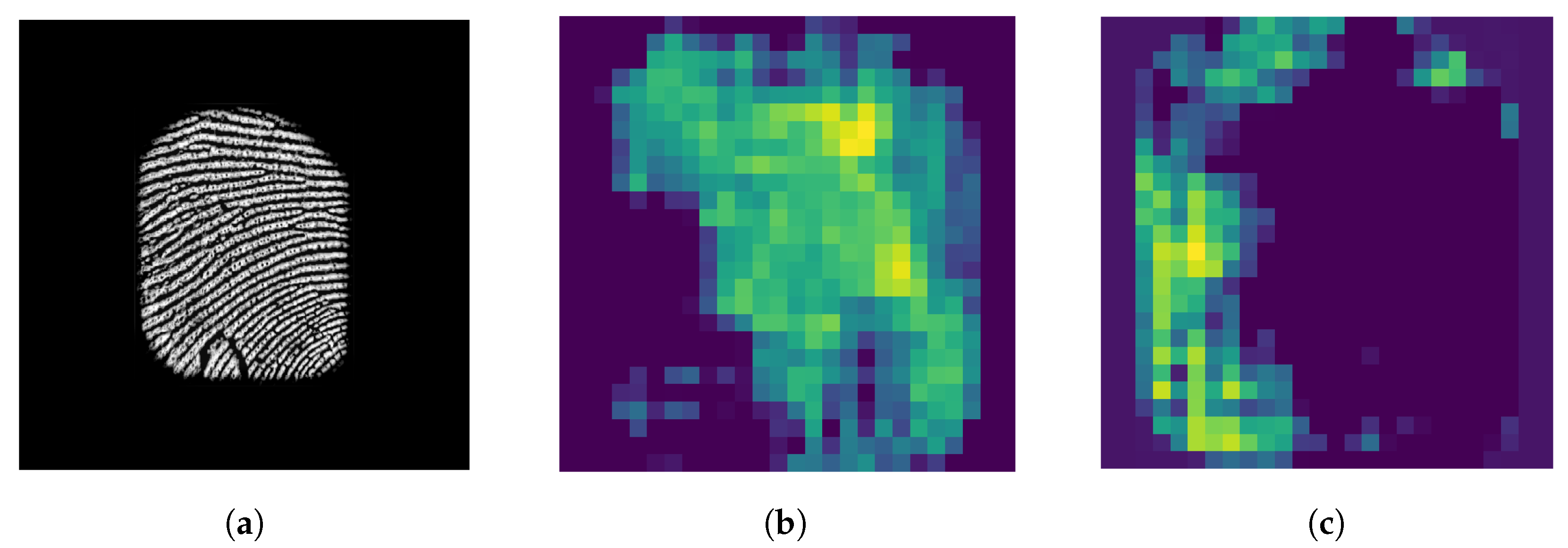 Enhancing Ensemble Learning Using Explainable Cnn For Spoof Fingerprints