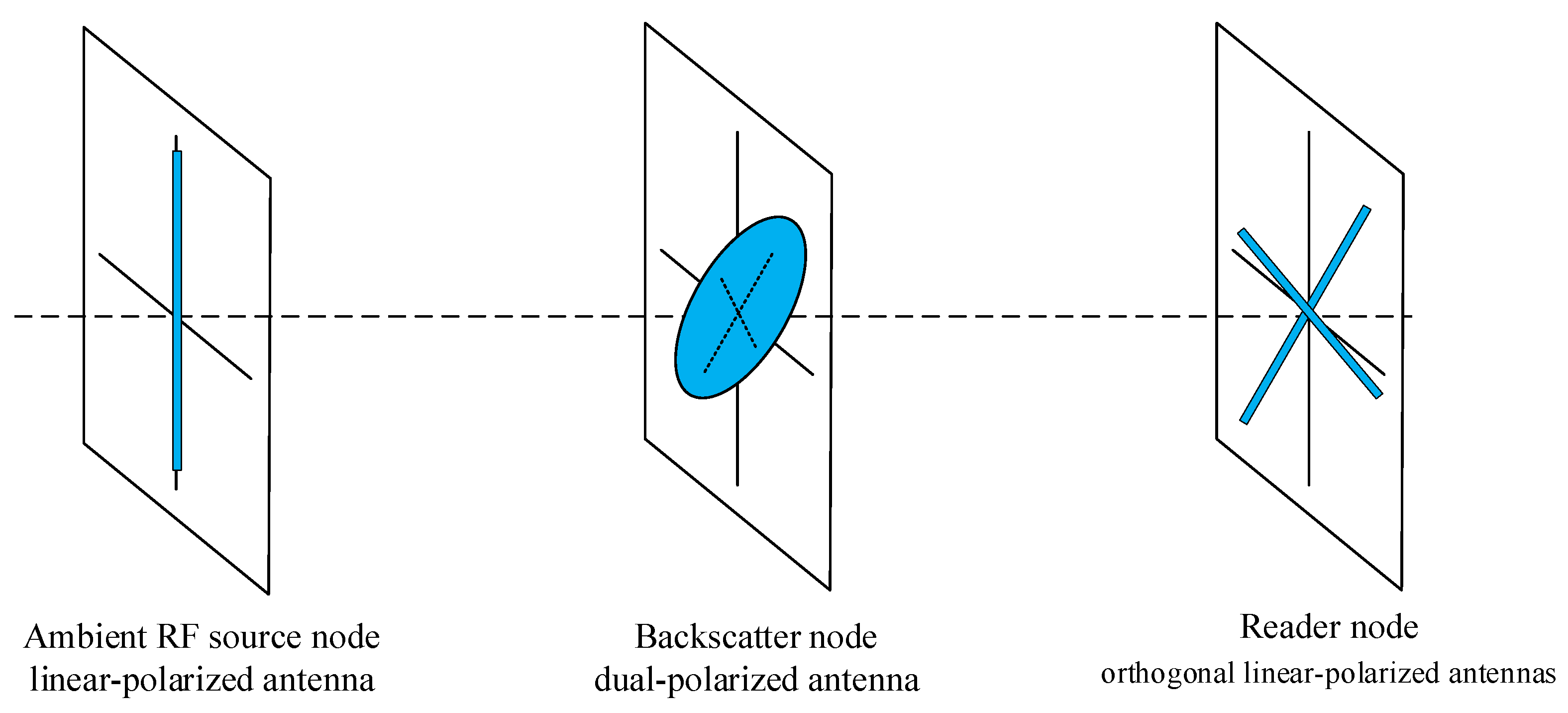 Dual-Polarization Ambient Backscatter Communications and Signal Detection