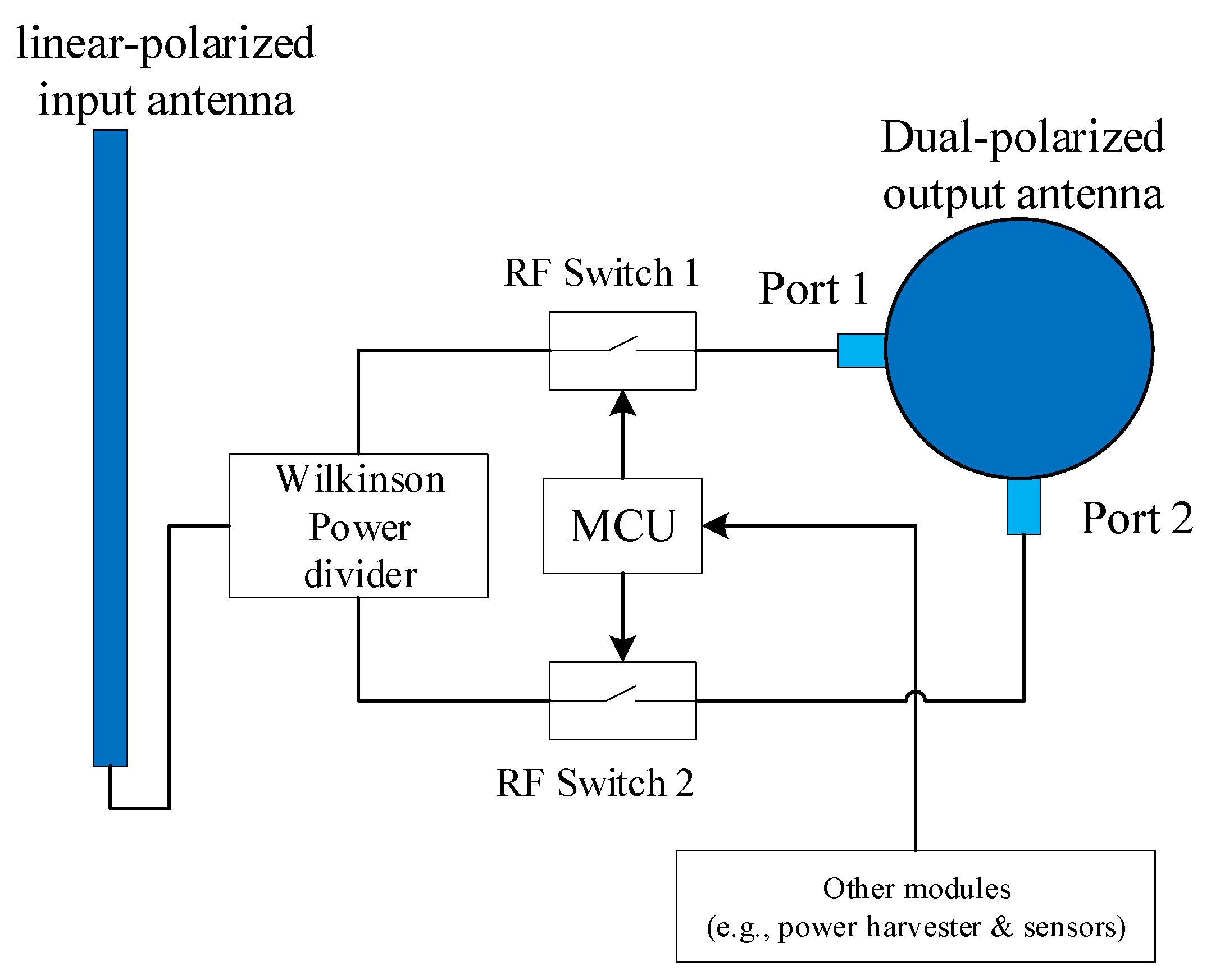 Dual-Polarization Ambient Backscatter Communications and Signal Detection