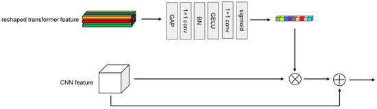 CVTrack: Combined Convolutional Neural Network and Vision Transformer ...