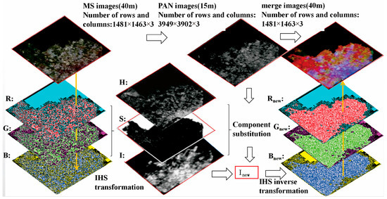 Color Night Light Remote Sensing Images Generation Using Dual ...