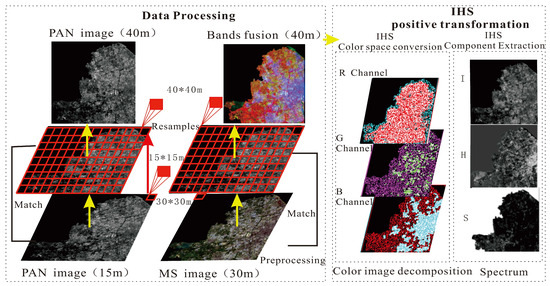 Color Night Light Remote Sensing Images Generation Using Dual ...
