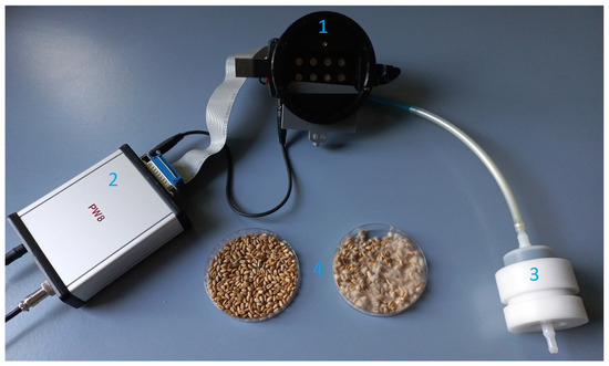 Analysis of Wheat Grain Infection by Fusarium Mycotoxin-Producing Fungi ...