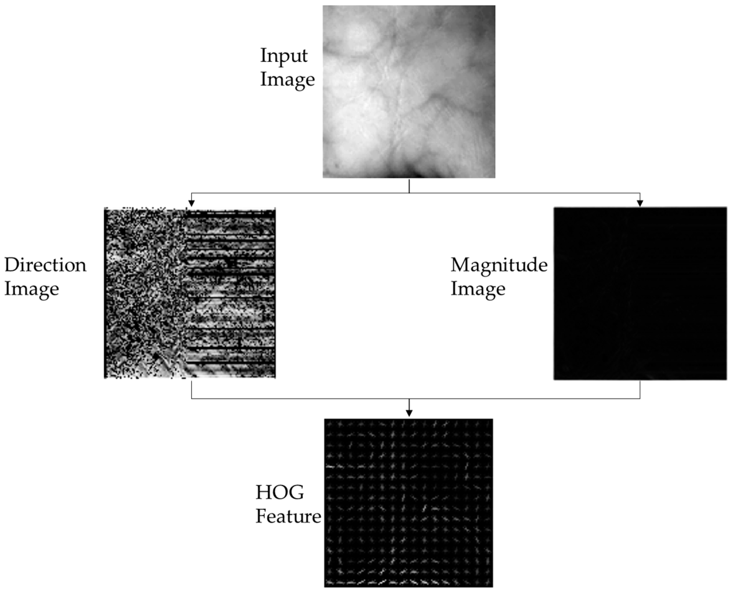Sensors Free Full Text Hybrid Feature Extractor Using Discrete