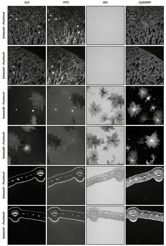 Data Science for Health Image Alignment: A User-Friendly Open-Source ...