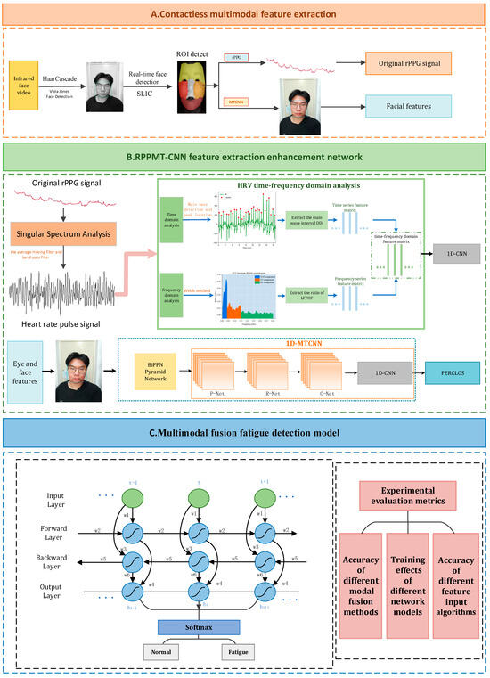 Remote Photoplethysmography and Motion Tracking Convolutional Neural Network with Bidirectional ...