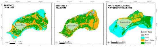 Assessing Derawan Island’s Coral Reefs over Two Decades: A Machine ...