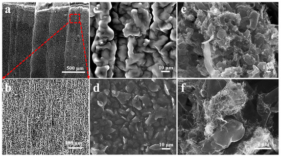 Flexible Strain Sensors Based on Bionic Parallel Vein-like Structures ...