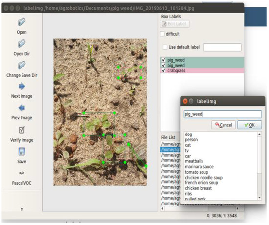 Evaluation of Inference Performance of Deep Learning Models for Real-Time Weed Detection in an ...