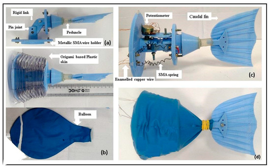 Design of a Shape-Memory-Alloy-Based Carangiform Robotic Fishtail with ...
