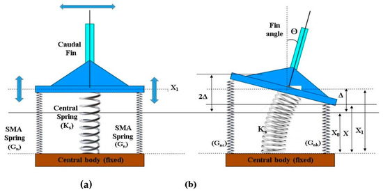 Design of a Shape-Memory-Alloy-Based Carangiform Robotic Fishtail with ...