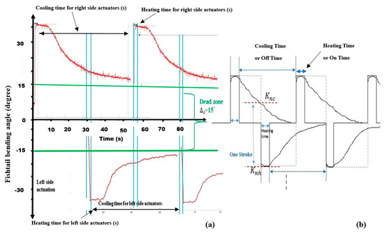 Design of a Shape-Memory-Alloy-Based Carangiform Robotic Fishtail with ...