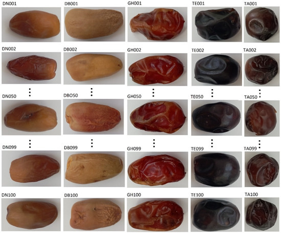 Convolutional Neural Network (CNN) Model for the Classification of ...